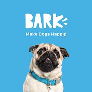 Barkbox Squeaker Ball Toys, Interactive Tennis Balls for Fetch, Training and Exercise, Engaging Plush Toys for Small, Medium, & Large Dogs (F-Bomb, Medium/Large Dog)