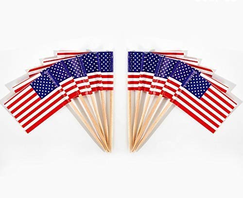 CYPS 100 Pcs USA American Flag US Toothpick Flags, Small Mini Stick Cupcake Toppers US Flags,4th of July,Veterans Day,Country Picks Party Decoration Celebration Cocktail Food Bar Cake Flags