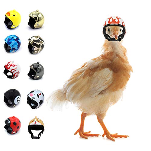 Genriq 10PCS Chicken Helmet - Chicken Bird Toy Head Protection Helmet Bird Hat Headwear Suitable for Parrot Small Chickens, Ducks and Other Poultry Funny Pet Safety Helmet Costumes Accessories