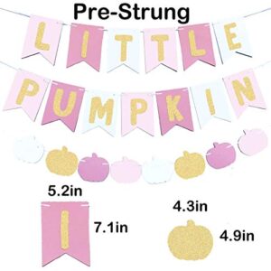 HEETON Little Pumpkin Banner Pink Girl Fall Baby Shower Birthday Halloween Thanksgiving Pumpkin Party Decorations Supplies Photo Booth Props