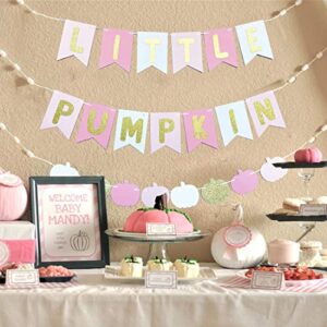 HEETON Little Pumpkin Banner Pink Girl Fall Baby Shower Birthday Halloween Thanksgiving Pumpkin Party Decorations Supplies Photo Booth Props