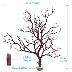 CURRENT USA Manzanita Branch 22-inch Tall with Weighted Base, Molded Aquarium Décor (Dark River Brown)