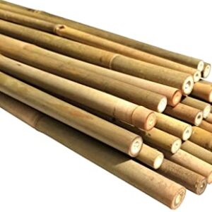 Dlh Western Natural Bamboo Poles, Eco-Friendly Plant Support Garden Stakes 4ft Long, Diameter of 3/8" (25-Count)