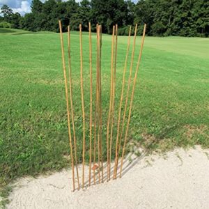 Dlh Western Natural Bamboo Poles, Eco-Friendly Plant Support Garden Stakes 4ft Long, Diameter of 3/8" (25-Count)