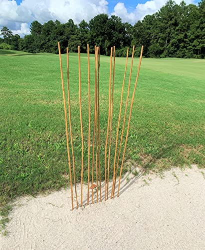 Dlh Western Natural Bamboo Poles, Eco-Friendly Plant Support Garden Stakes 4ft Long, Diameter of 3/8" (25-Count)