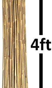 Dlh Western Natural Bamboo Poles, Eco-Friendly Plant Support Garden Stakes 4ft Long, Diameter of 3/8" (25-Count)