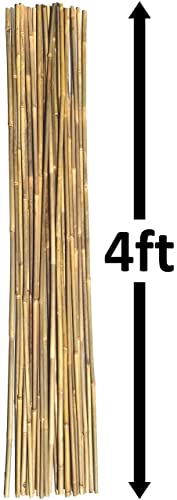 Dlh Western Natural Bamboo Poles, Eco-Friendly Plant Support Garden Stakes 4ft Long, Diameter of 3/8" (25-Count)