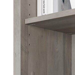 Bush Furniture Salinas 6 Cube Organizer, Driftwood Gray