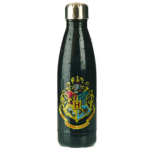 Paladone AMZ7490HP Hogwarts Metal Water Bottle-Officially Licensed Harry Potter Merchandise, Aluminium