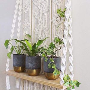 AMIAEDU Macrame Wall Hanging Shelf, Handmade Indoor Boho Rope Plant Pot Basket Hanger Holder, Rope Plant Hanger for Wall Decor (White)