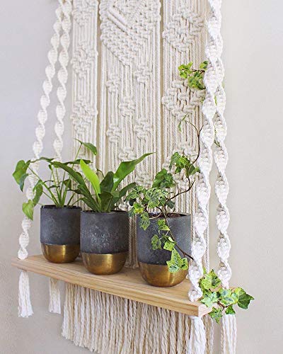 AMIAEDU Macrame Wall Hanging Shelf, Handmade Indoor Boho Rope Plant Pot Basket Hanger Holder, Rope Plant Hanger for Wall Decor (White)