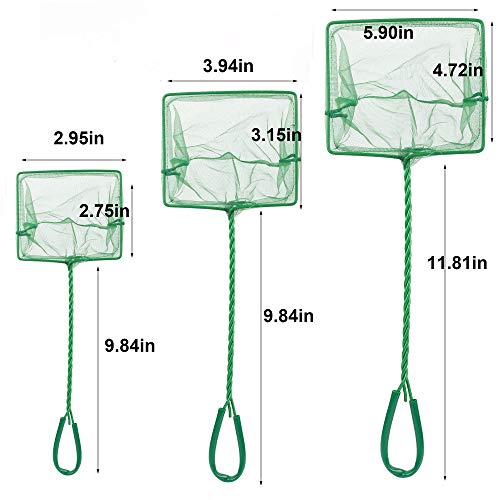 DAGUANZHI 3in 4in 6in Aquarium Fish Net Fine Mesh Net Quick Catch Nets Nylon Fishing Nets with Long Plastic Handle for Fish Tank, Green