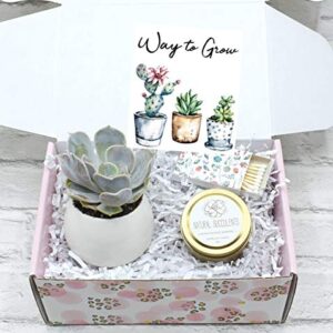 New Job Gift, Congratulations Gift, Way to Grow, Job Promotion Gift, Co (XFB6)