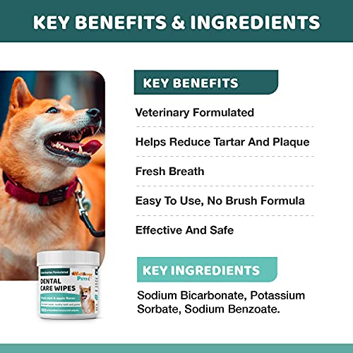 Wellnergy Pets Dental Wipes for Dogs and Cats - No Brush Formula; Improve Oral Hygiene and Health; Freshen Breath; Fresh Mint Flavor. 100 Wipes.