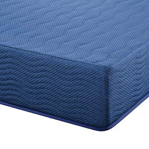 Sleeplace 10 inch Foam Mattress,Blue Color,Queen,SVC10FMF1Q