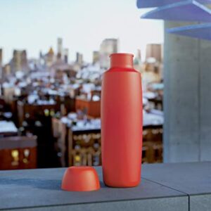 Alessi SA05 G Food à Porter Double Wall Thermo Insulated Bottle in Coloured 18/10 Stainless Steel and thermoplastic Resin, One Size, Grey