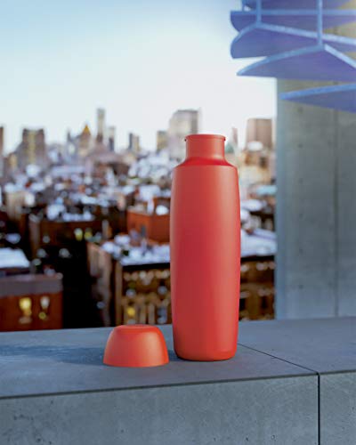 Alessi SA05 G Food à Porter Double Wall Thermo Insulated Bottle in Coloured 18/10 Stainless Steel and thermoplastic Resin, One Size, Grey