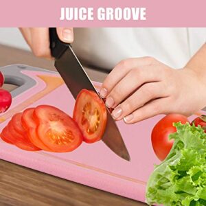 Cutting Boards for Kitchen, Plastic Chopping Board Set of 4 with Non-Slip Feet and Deep Drip Juice Groove, Easy Grip Handle, Dishwasher Safe, BPA Free, Non-porous(Pink/Gray)