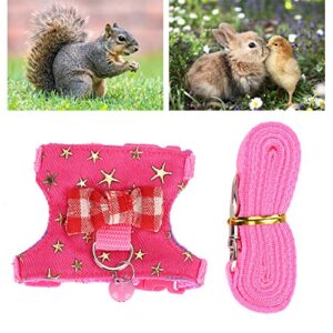 Hamster Harness, Adjustable Walking Vest Set Leash Walking Harness Vest Leash Set for Syrian Hamster Squirrels Gerbils Golden Bears Ferret(S) Leashes