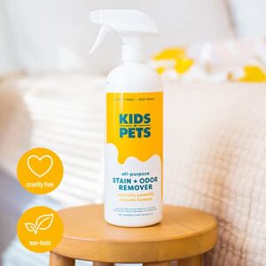 KIDS 'N' PETS - Instant All-Purpose Stain & Odor Remover – 27 fl oz - Permanently Eliminates Tough Stains & Odors – Even Urine Odors - No Harsh Chemicals, Non-Toxic & Child Safe, Multi-Color