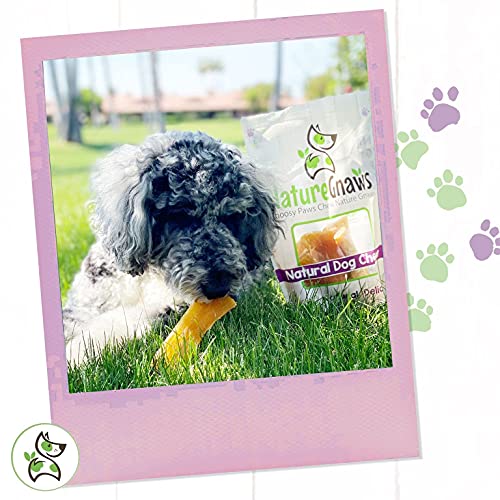 Nature Gnaws Paddywack Tendons for Dogs - Premium Natural Beef Dental Bones - Long Lasting Dog Chew Treats for Medium & Large Dogs - Rawhide Free