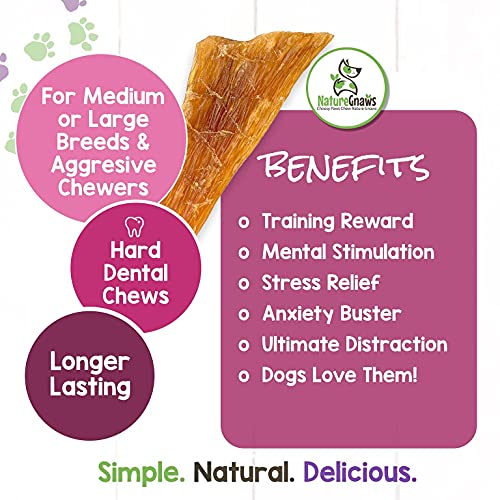 Nature Gnaws Paddywack Tendons for Dogs - Premium Natural Beef Dental Bones - Long Lasting Dog Chew Treats for Medium & Large Dogs - Rawhide Free