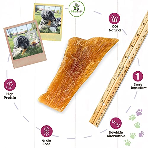 Nature Gnaws Paddywack Tendons for Dogs - Premium Natural Beef Dental Bones - Long Lasting Dog Chew Treats for Medium & Large Dogs - Rawhide Free