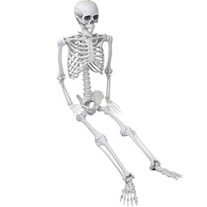 5.4ft/165cm halloween skeleton - halloween human skeletons full body bones with movable joints for halloween props spooky party decoration