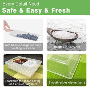 SILIVO Produce Saver Containers for Refrigerator (3 Pack) - 2.5L Fruit Storage Containers for Fridge, Vegetable Storage Containers with Drain Tray Keep Fresh for Veggie, Fruit, Lettuce and Salad