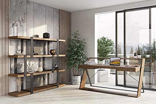 Limari Home Lazzaro Collection Modern Home Office Walnut Veneer Finished Desk with 2 Soft Closing Drawers, Brown