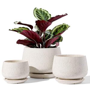 le tauci plant pots, 4.1+5.1+6.5 inch, set of 3, ceramic planters with drainage hole and saucer, indoor flower pot with hole mesh pad, gifts for mom, reactive glaze beige