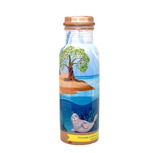 EcoBottles – 100% Pure Copper Water Bottles | Easy-To-Use and Carry, Fancy Prints | Non-Insulated Bottles with Health Benefits and Emphasizing on Social Causes (Skyblue)