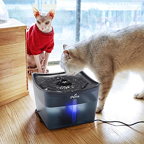 iPettie Kamino Pet Water Fountain, 101oz/3L, Ultra-Quiet Automatic Cat Water Dispenser with LED Light & Water Level Window, Auto Power Off USB Pump & Dual Filters for Cats and Dogs, Translucent Blue