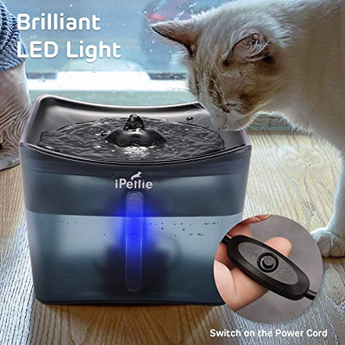 iPettie Kamino Pet Water Fountain, 101oz/3L, Ultra-Quiet Automatic Cat Water Dispenser with LED Light & Water Level Window, Auto Power Off USB Pump & Dual Filters for Cats and Dogs, Translucent Blue