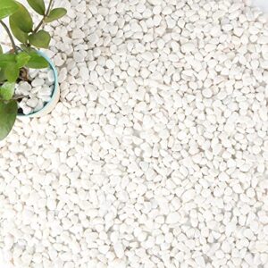 anothera 18-lb bulk bag white pebbles 1/2" size aquarium gravel outdoor garden paving plant decorative stones