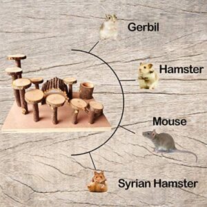 Hamster Playground Wooden, Small Animal Activity Toys Set – Climbing Ladder Bendy Bridge Food Bowl Stand Platform Chew Toy for Syrian Hamster Mouse Gerbil Chinchilla Rat