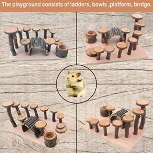 Hamster Playground Wooden, Small Animal Activity Toys Set – Climbing Ladder Bendy Bridge Food Bowl Stand Platform Chew Toy for Syrian Hamster Mouse Gerbil Chinchilla Rat