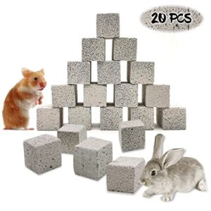 hamiledyi 20 pcs chinchilla lava blocks rabbit chew toys bunny lava teeth grinding square stone small animal mineral calcium stone for hamsters,chinchillas,parrot