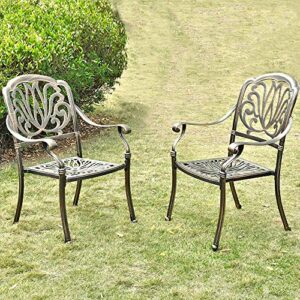 USSerenaY 2 Piece Cast Aluminum Bistro Chair Set Outdoor Bistro Patio Furniture Sets (2 Chairs Set-Flower)