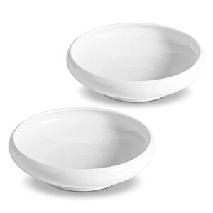 comsaf cat food water bowl, wide shallow ceramic cat dish, non spill pet bowl,10oz, pack of 2