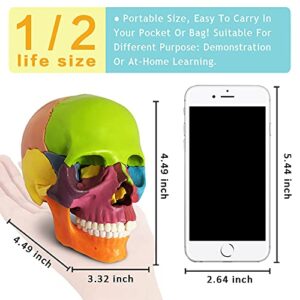 2023 New Anatomy Skull Model 15 Parts Human Anatomy Exploded Skull Detachable Palm-Sized Mini Human Color Medical Skull Model,Medical Dental Clinic Teaching Equipment,Learning with Color Study Manual