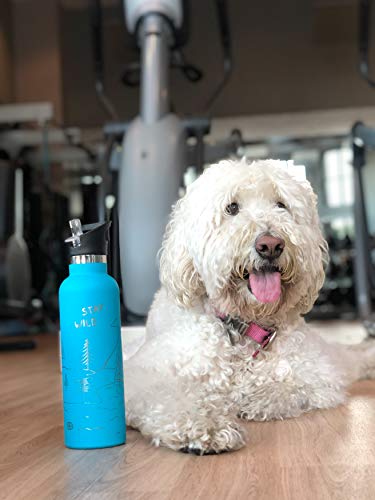 Involve & Evolve Insulated Water Bottle with 3 Lids (Straw Lid) Kids Reusable Double Walled Stainless Steel Flask Metal Stay Wild Thermos 12oz 17oz 20oz 25oz (17 oz, Engraved Blue)