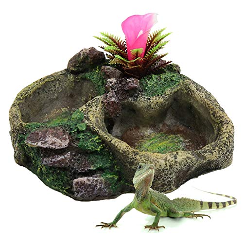 iFCOW Resin Feeder Bowl, Reptile Water Dish Food Bowl Resin Feeder Bowl for Tortoise Lizard