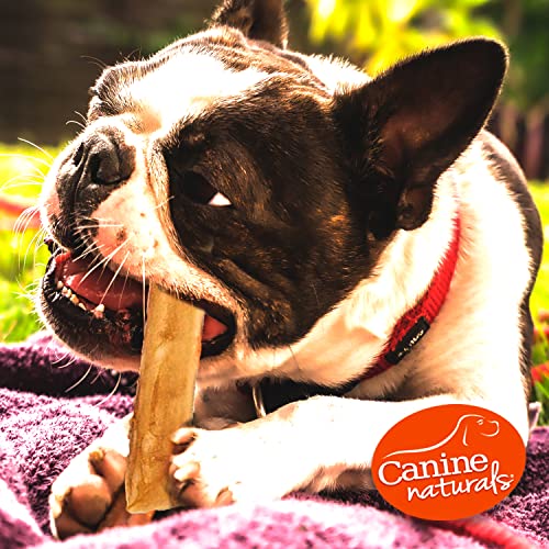 Canine Naturals Chicken Recipe Chew - Rawhide Free Dog Treats - Made From USA Raised Chicken - All-Natural and Easily Digestible - 10 Pack of 5 Inch Stick