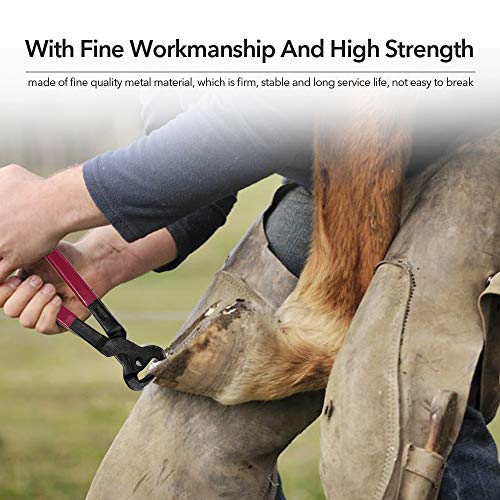 4Pcs Horse Farrier Hoof Nipper, Trim Shoeing File Rasp Handle Hoof Cutter Tool Horse Care Accessory, for Full manicuring and Cleaning of Horseshoes