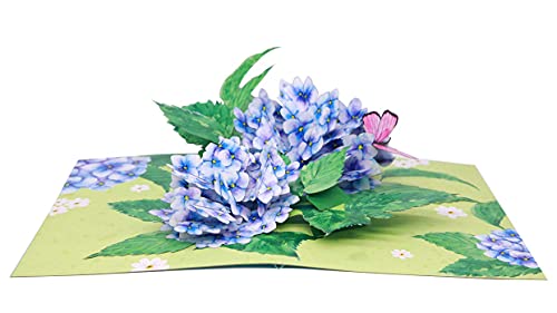 Liif Hydrangea Blossoms Butterfly 3D Greeting Pop Up Mother's Day Card, Spring, Summer, Anniversary, Fathers Day, Get Well, Thinking Of You, All Occasion, Happy Birthday Cards For Mom, Women, Her | With Message Note & Envelop | Large Size 8 x 6 Inch