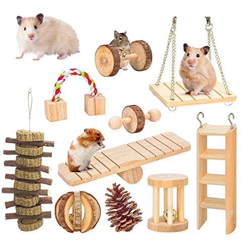 Hamster Chew Toys Set Natural Wooden Hamster Toys and Accessories Teeth Care Molar Toys for Guinea Pigs Syrian Hamster Rats Chinchillas Gerbils Hamster Swing Seesaw Pack of 10