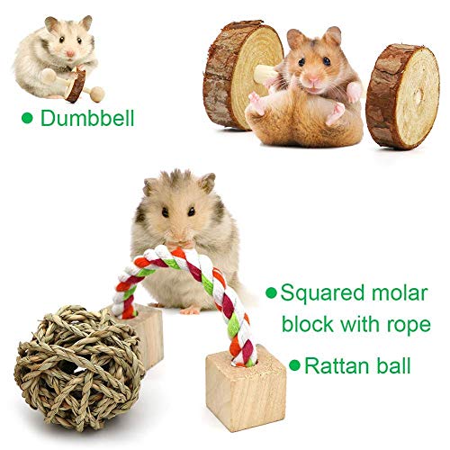 Hamster Chew Toys Set Natural Wooden Hamster Toys and Accessories Teeth Care Molar Toys for Guinea Pigs Syrian Hamster Rats Chinchillas Gerbils Hamster Swing Seesaw Pack of 10