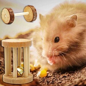 Hamster Chew Toys Set Natural Wooden Hamster Toys and Accessories Teeth Care Molar Toys for Guinea Pigs Syrian Hamster Rats Chinchillas Gerbils Hamster Swing Seesaw Pack of 10