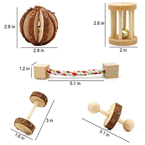 Hamster Chew Toys Set Natural Wooden Hamster Toys and Accessories Teeth Care Molar Toys for Guinea Pigs Syrian Hamster Rats Chinchillas Gerbils Hamster Swing Seesaw Pack of 10